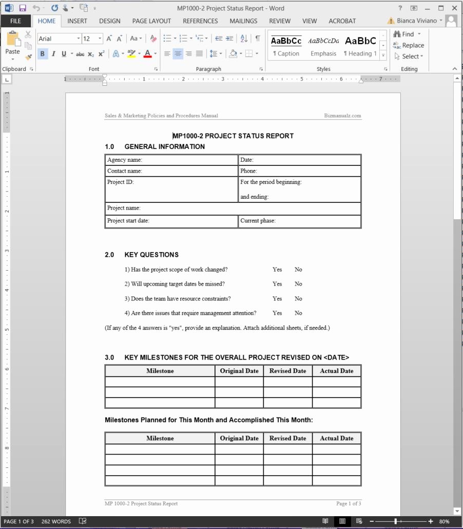 Project Progress Report Template Stcharleschill Template
