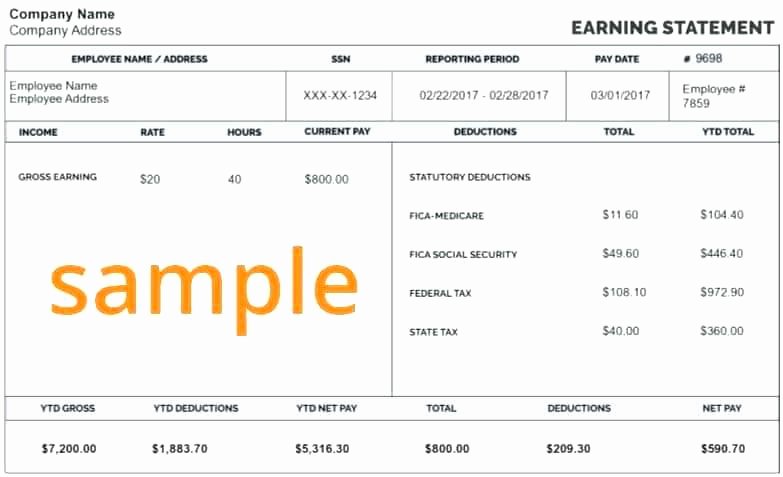 Free Pay Stub Template Google Docs