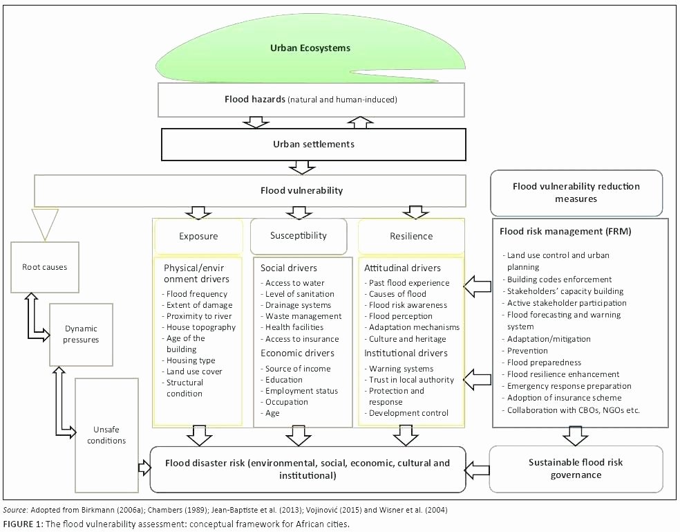 Vulnerability Remediation Plan Template